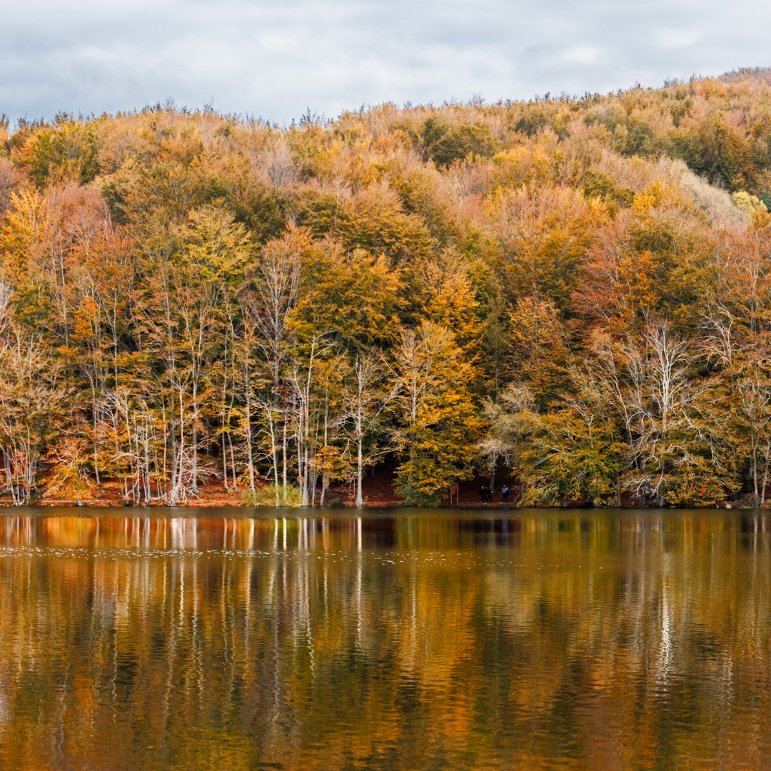 5 Fun Filled Activities in Santa Fe In The Fall | Two Casitas
