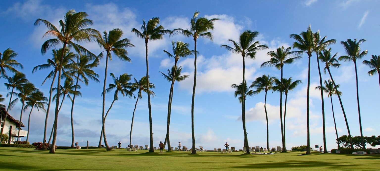 Koloa Kai Vacation Rental, Management and Sales| Kauai Vacation Property Management | Home Watch ...