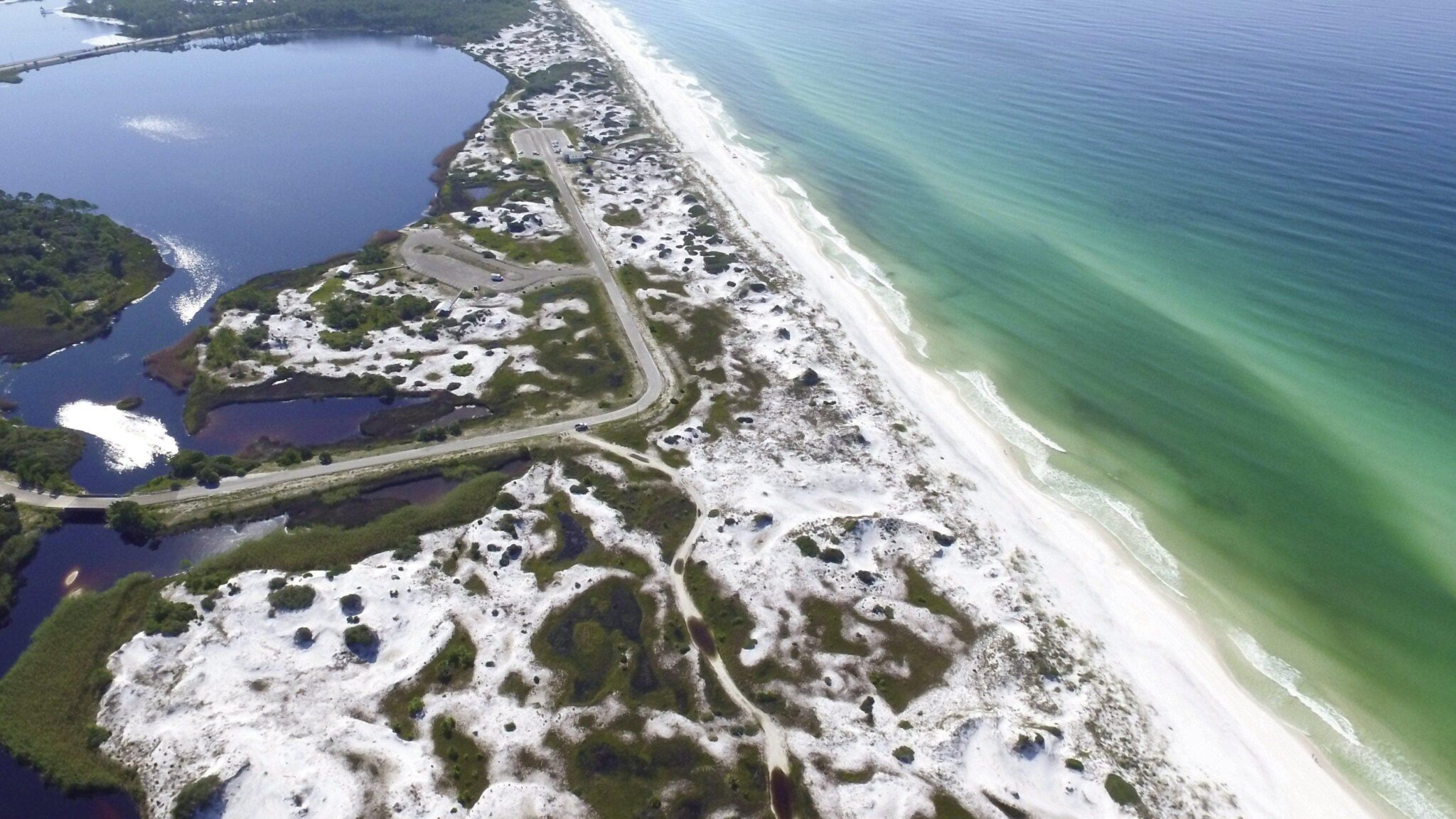 Discover Grayton Beach: Your Ultimate Travel Guide to Coastal Charm and ...