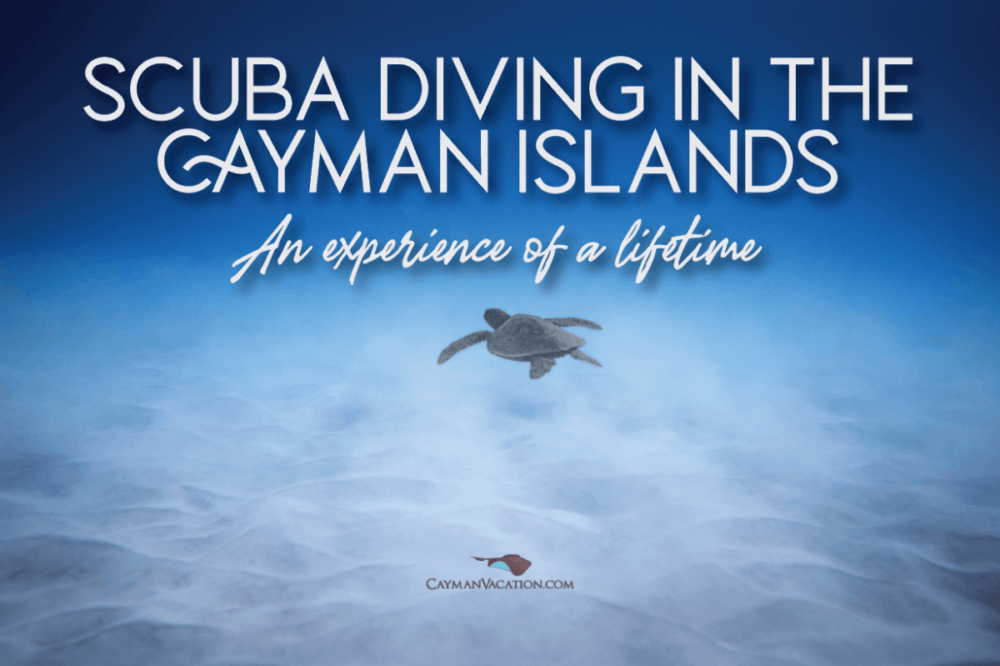 Driving in Grand Cayman: 9 Things to Know Before You Arrive