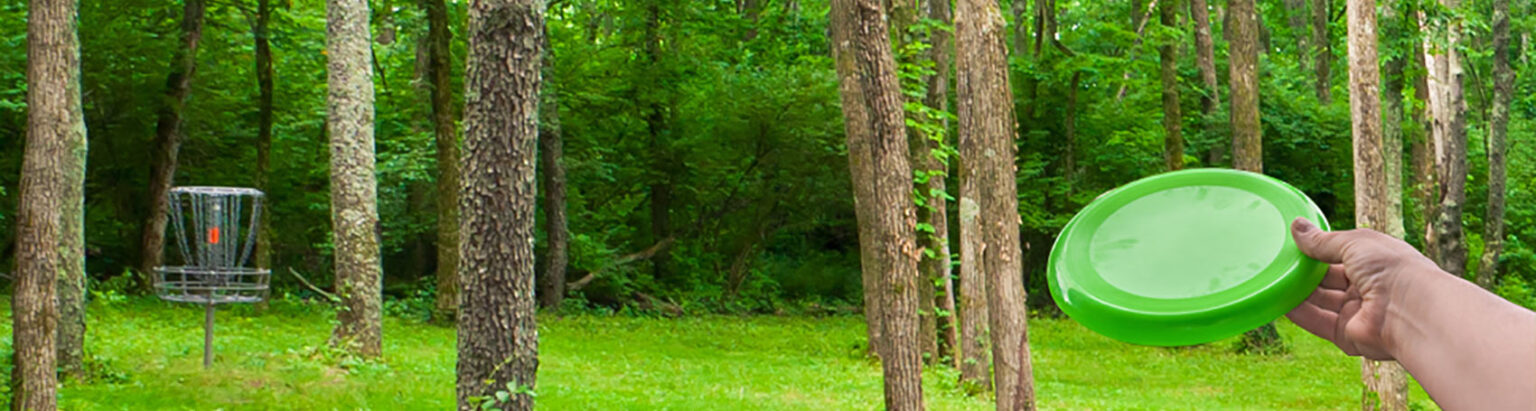 Disc Golf - Lydia Mountain Lodge & Log Cabin