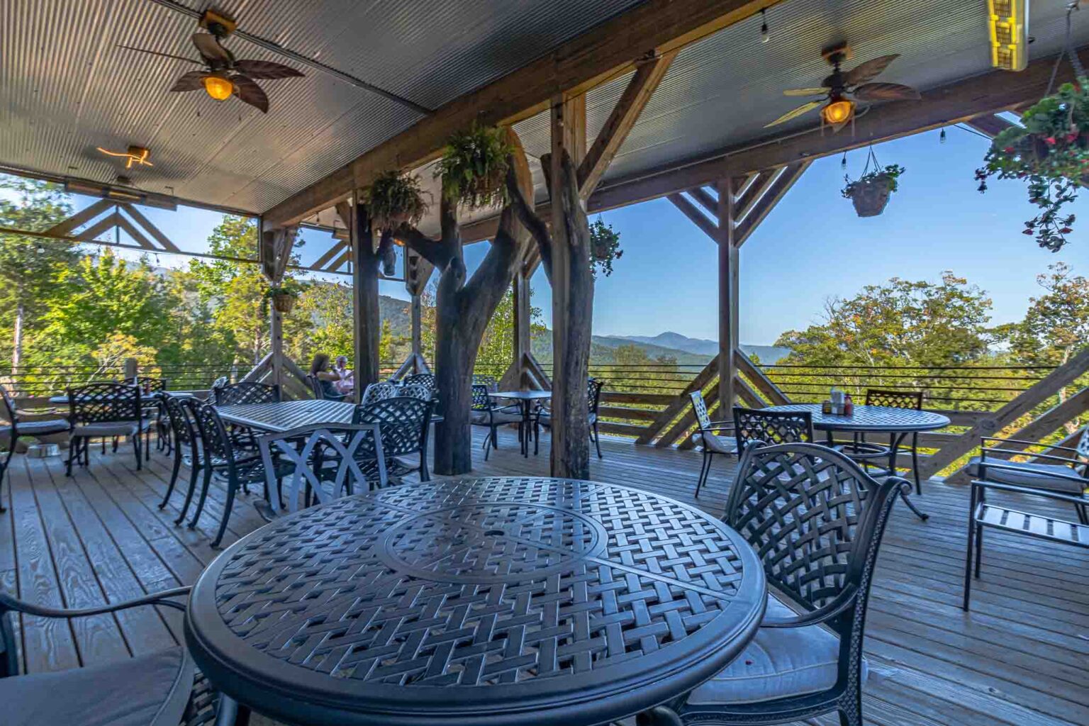 BEARRR APPETIT RESTAURANT - Lydia Mountain Lodge & Log Cabin