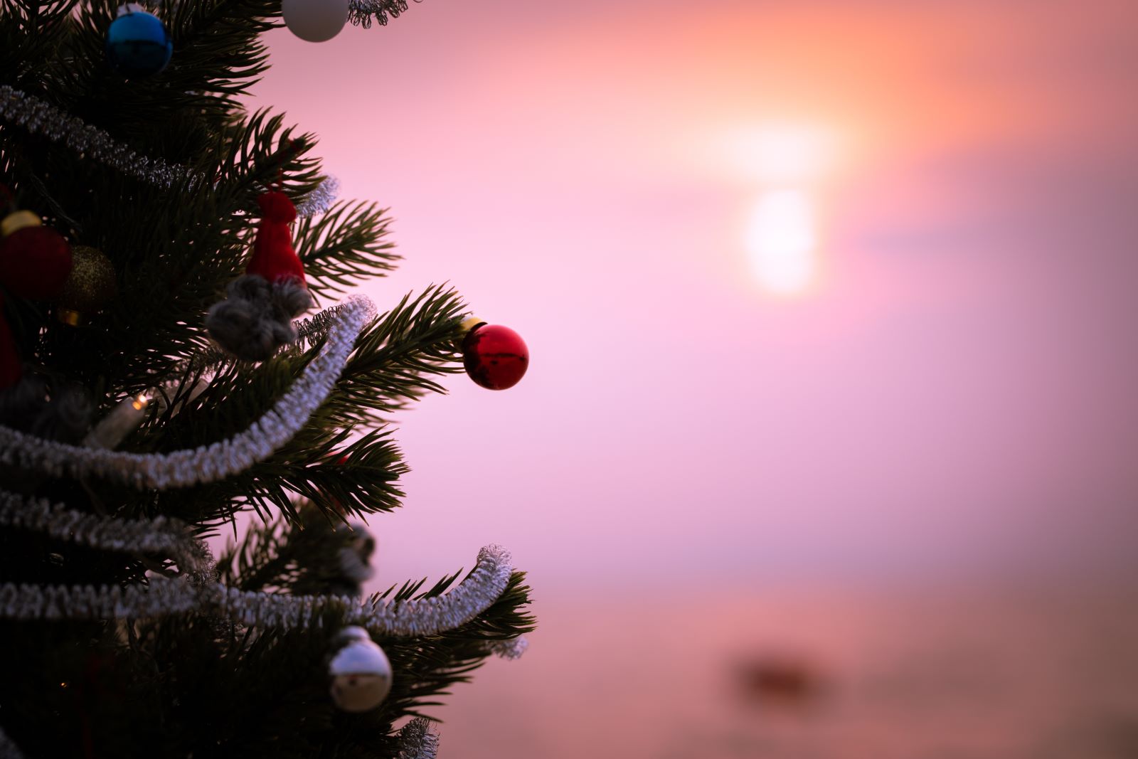 Experience Holiday Lights in Sarasota - Gulf Coast Vacation Rental
