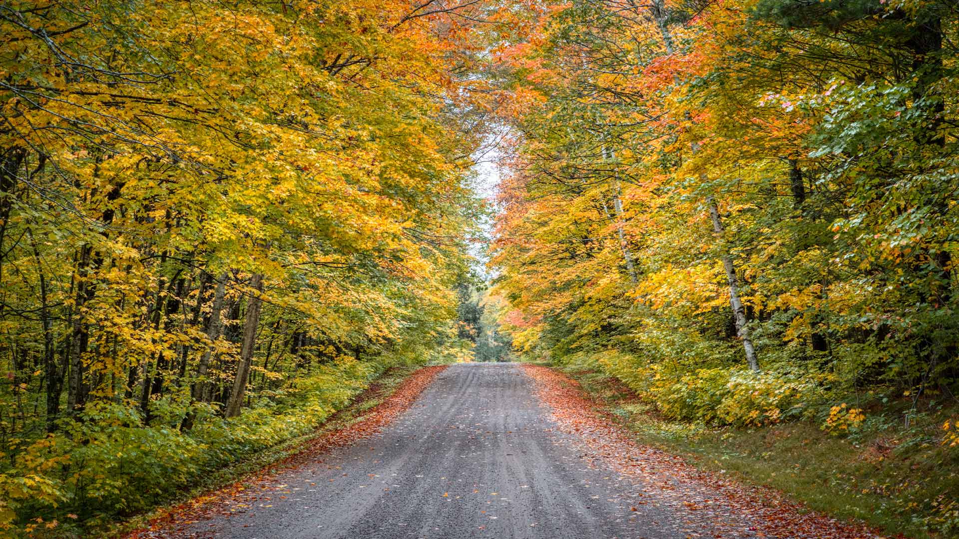 Local Area Guide - Northern Wisconsin Vacation Rentals