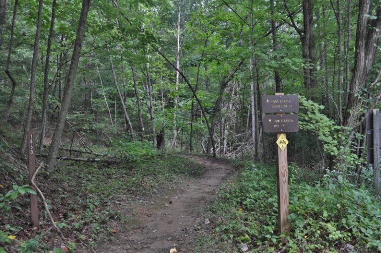 Long Branch Loop Trail - Mountain Top Cabin Rentals