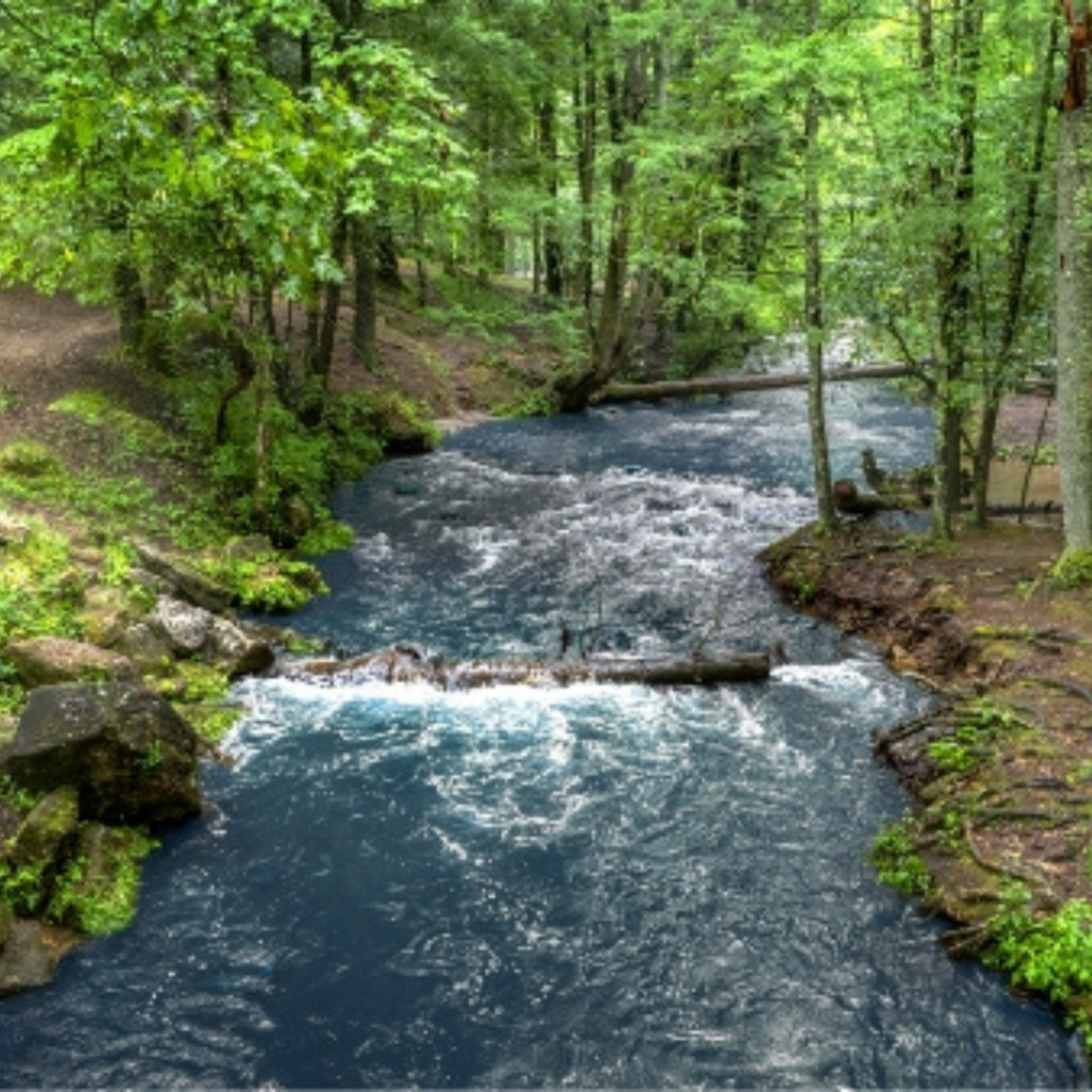 Unicoi State Park - Mountain Top Cabin Rentals