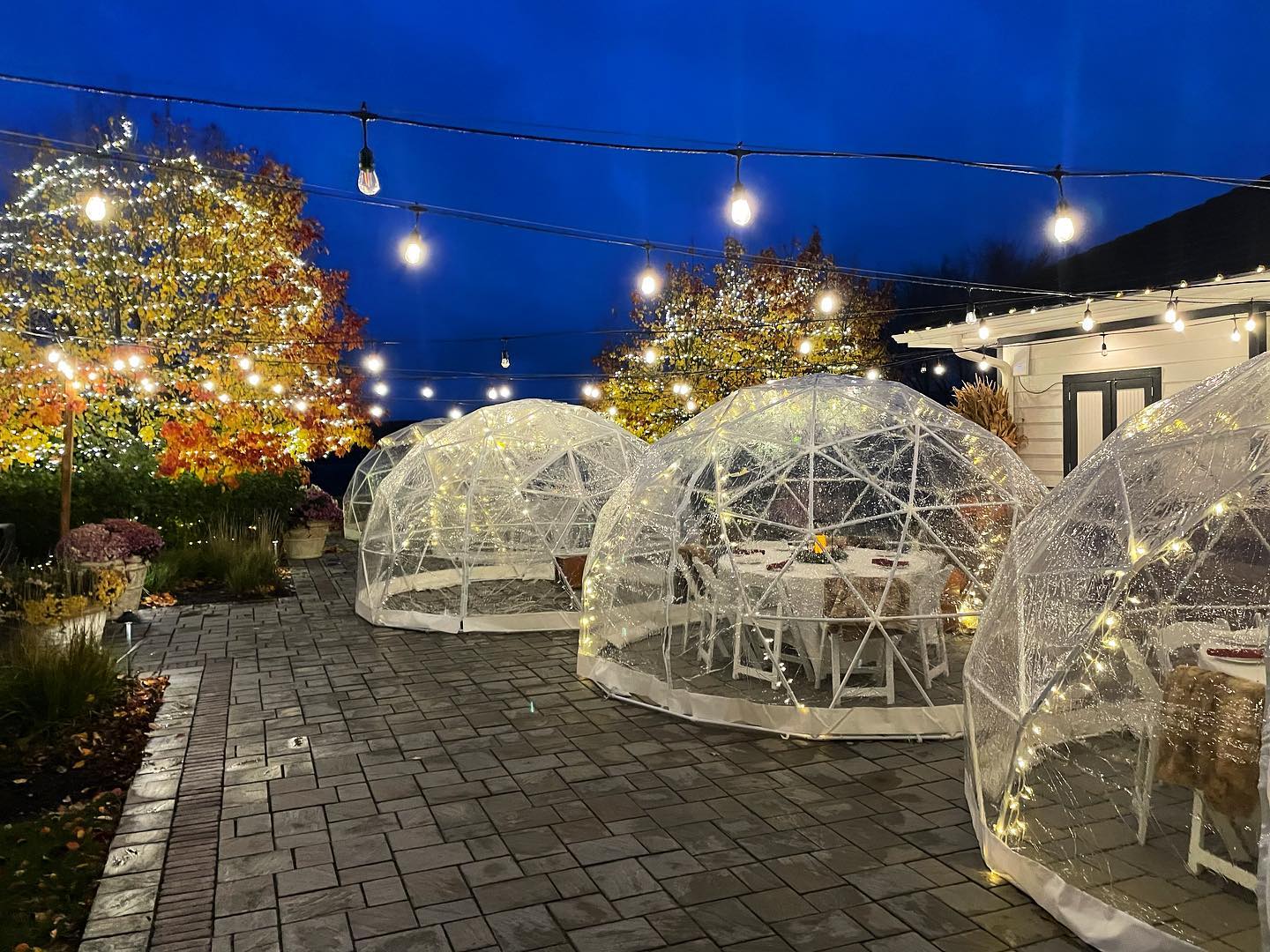 Best Winter Igloo Dining Experiences in Lake Geneva, WI - Elite Lake ...