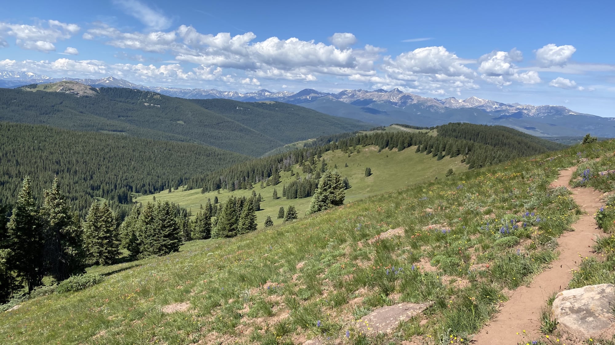 Shrine Ridge Hike - Vail International Condominiums