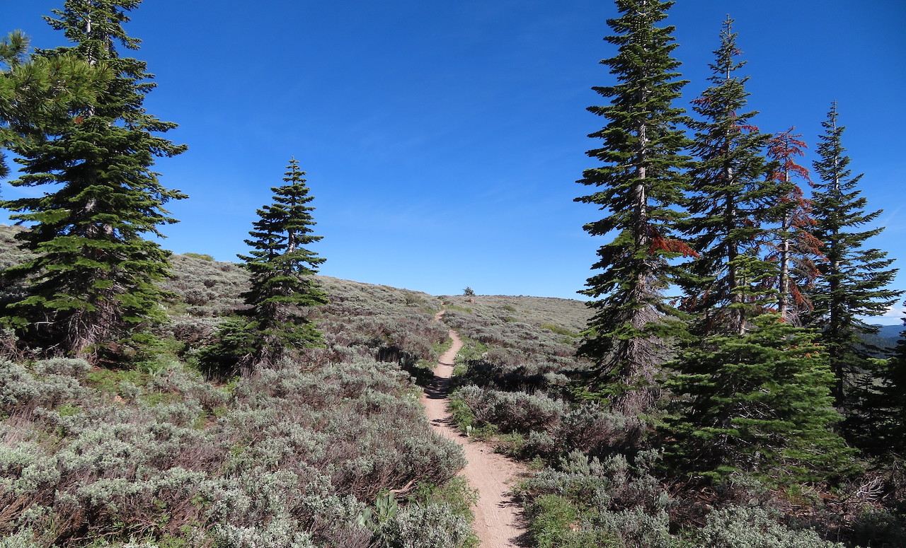 Best Hiking Trails in Lake Tahoe - Vacation Rental Assistance
