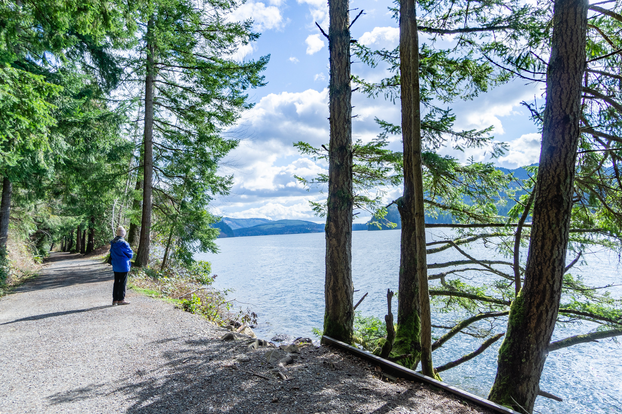 Top Mountain Biking Trails in Bellingham - Luxury Getaways