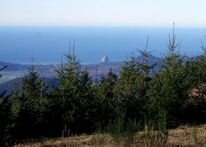 Day trip to Mt. Hebo from Pacific City - Kiwanda Coastal Properties