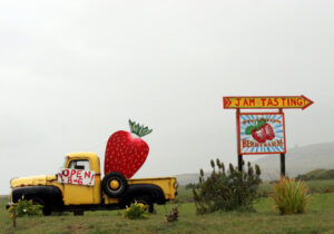 San Francisco to Santa Cruz: Ultimate CA Road Trip - Beachnest Vacation ...