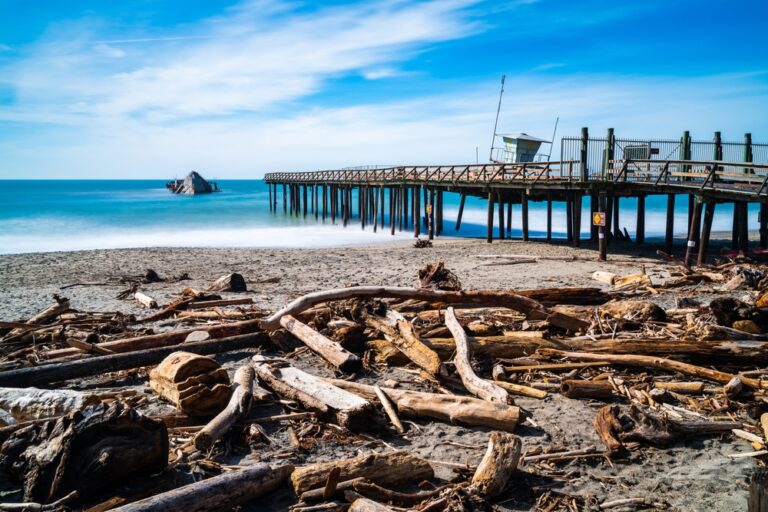 A Visitor's Guide to Seacliff State Beach - Beachnest Vacation Rentals