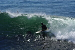 A Visitor's Guide to Seacliff State Beach - Beachnest Vacation Rentals