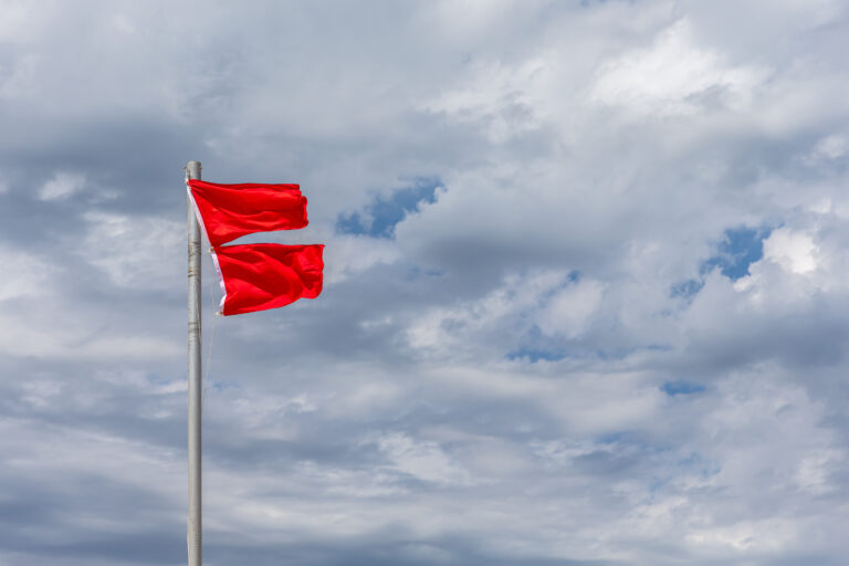 Beach Safety 101: Understanding the Flag System - Elite Vacation Rentals