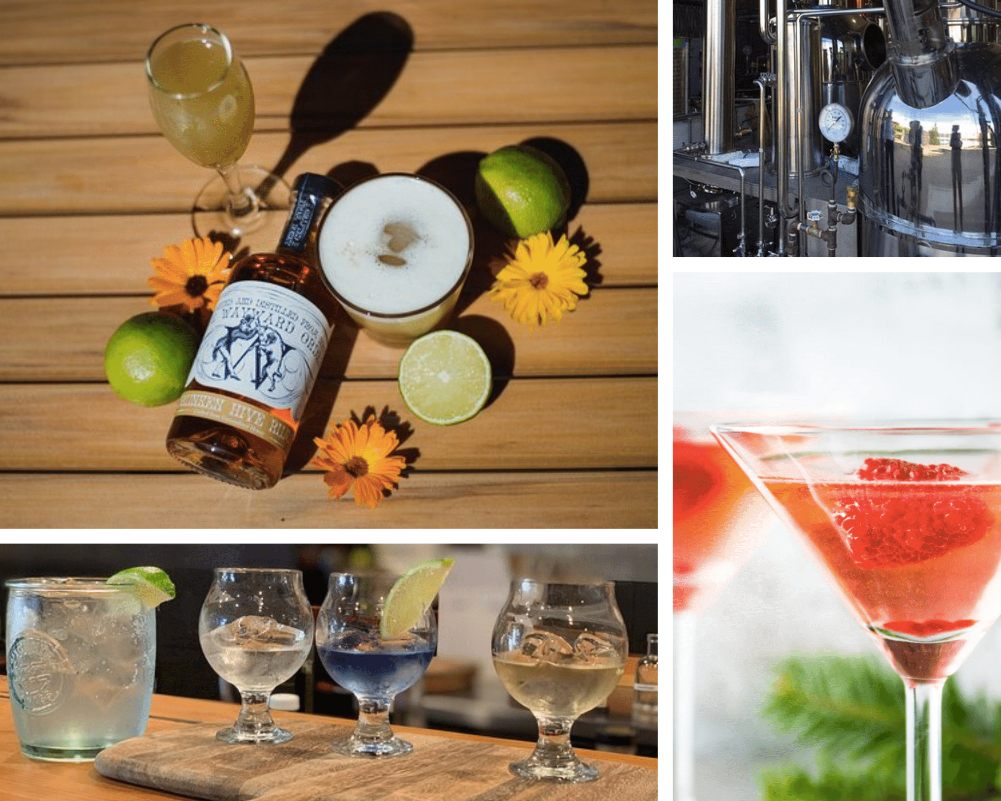 Bottoms Up! Classic Summertime Cocktails Made with Local Spirits - EMR ...